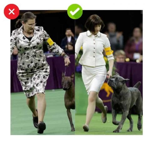 *2026* 18 dos & donts to WEAR to a dog show (handler & spectator!)