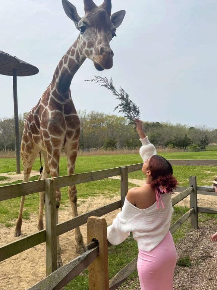 12 real-life zoo outfits + oddly specific tips!